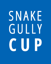 Snake Gully Cup | Country racing at it's best!