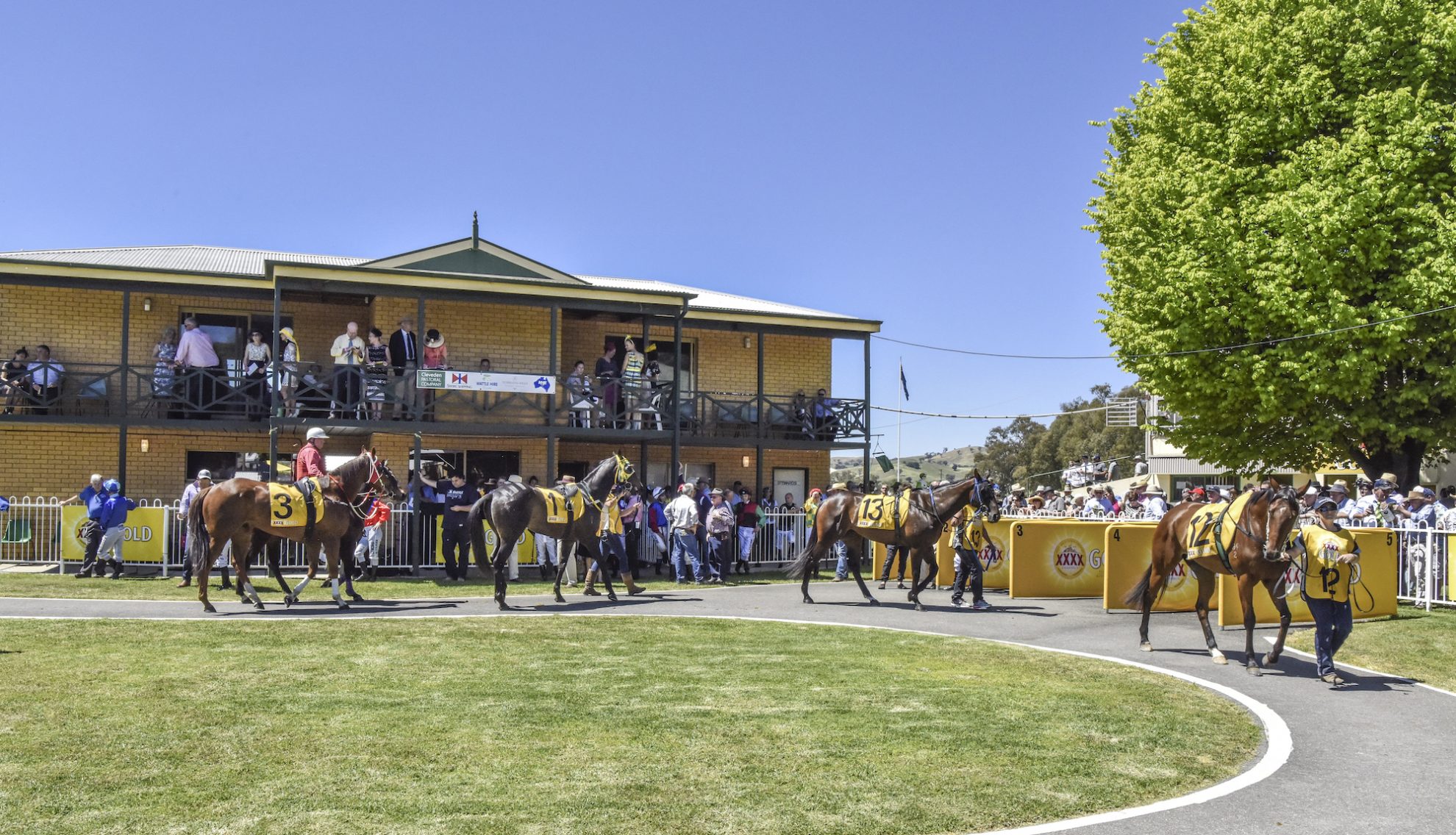 Contact – Snake Gully Cup