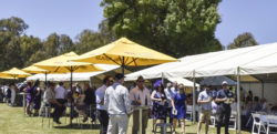 Snake Gully Cup – Country racing at it's best!