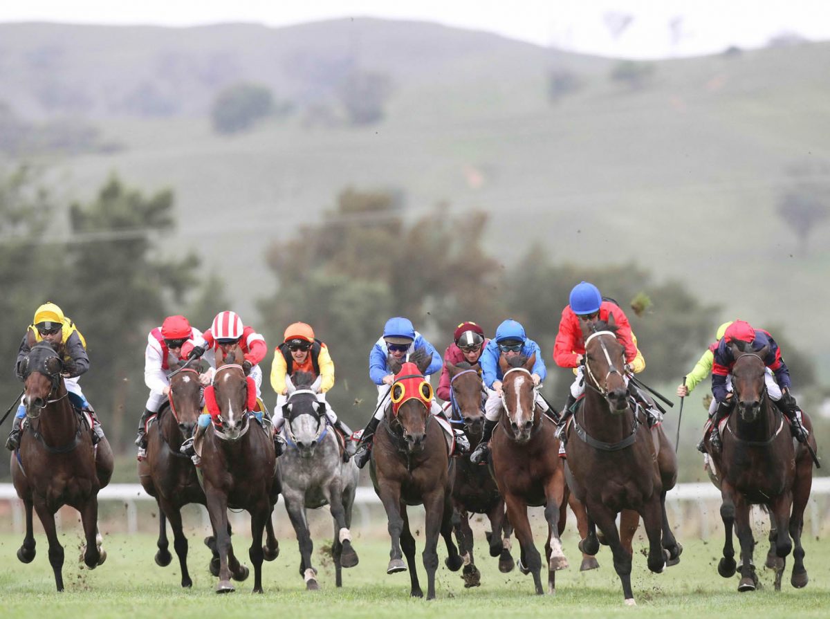 Racing – Snake Gully Cup