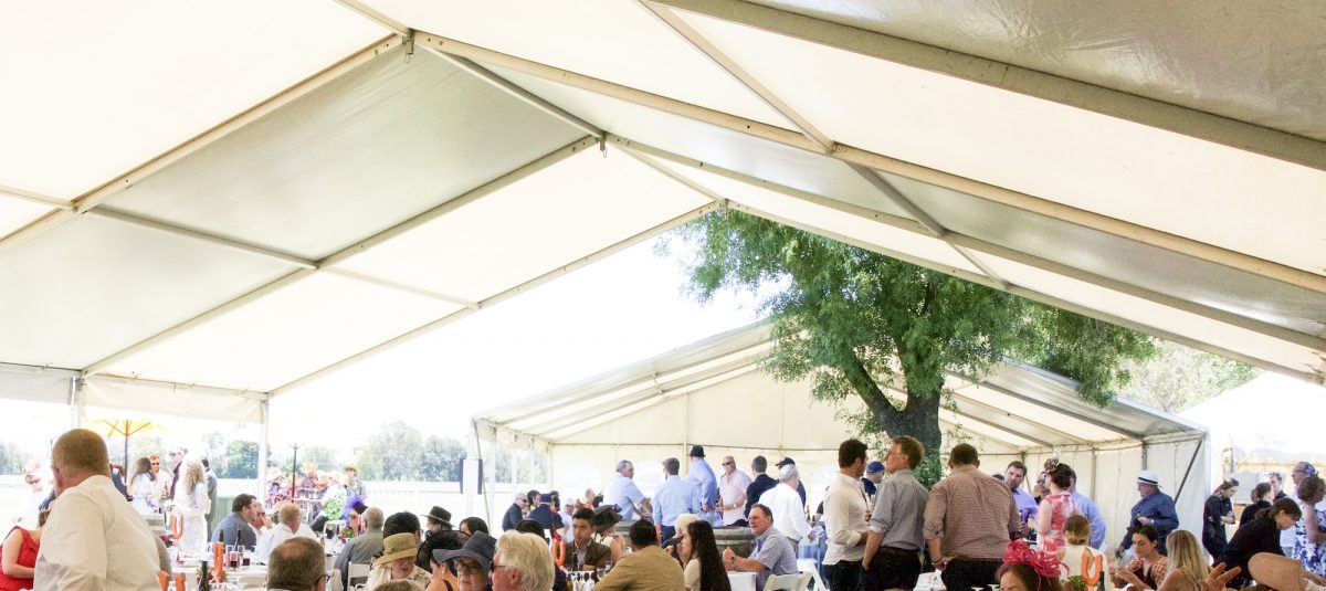 Marquees – Snake Gully Cup